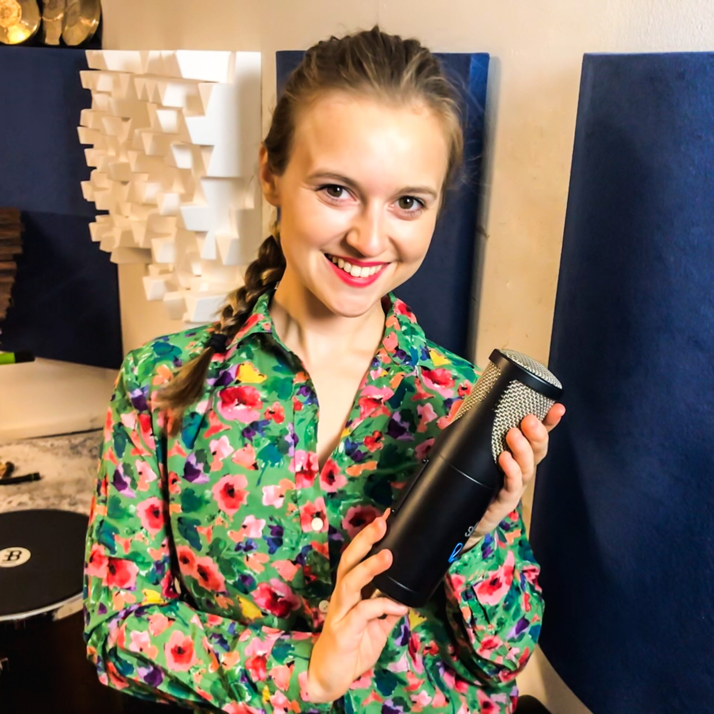 V KICK - sE Electronics